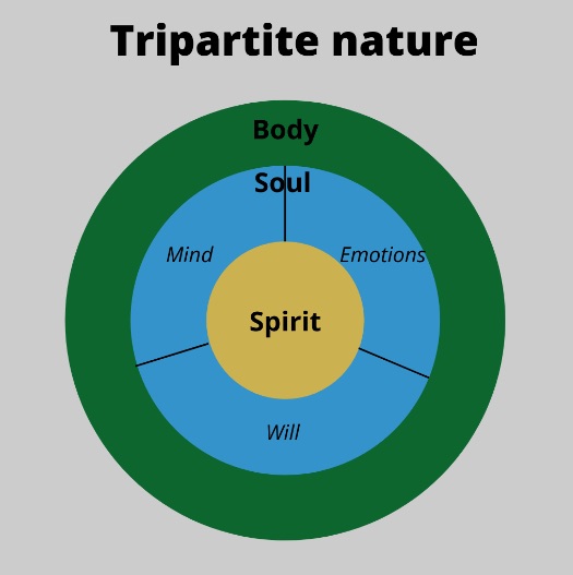 Biblical Psychology | Exploring human nature as spirit, soul, and body ...